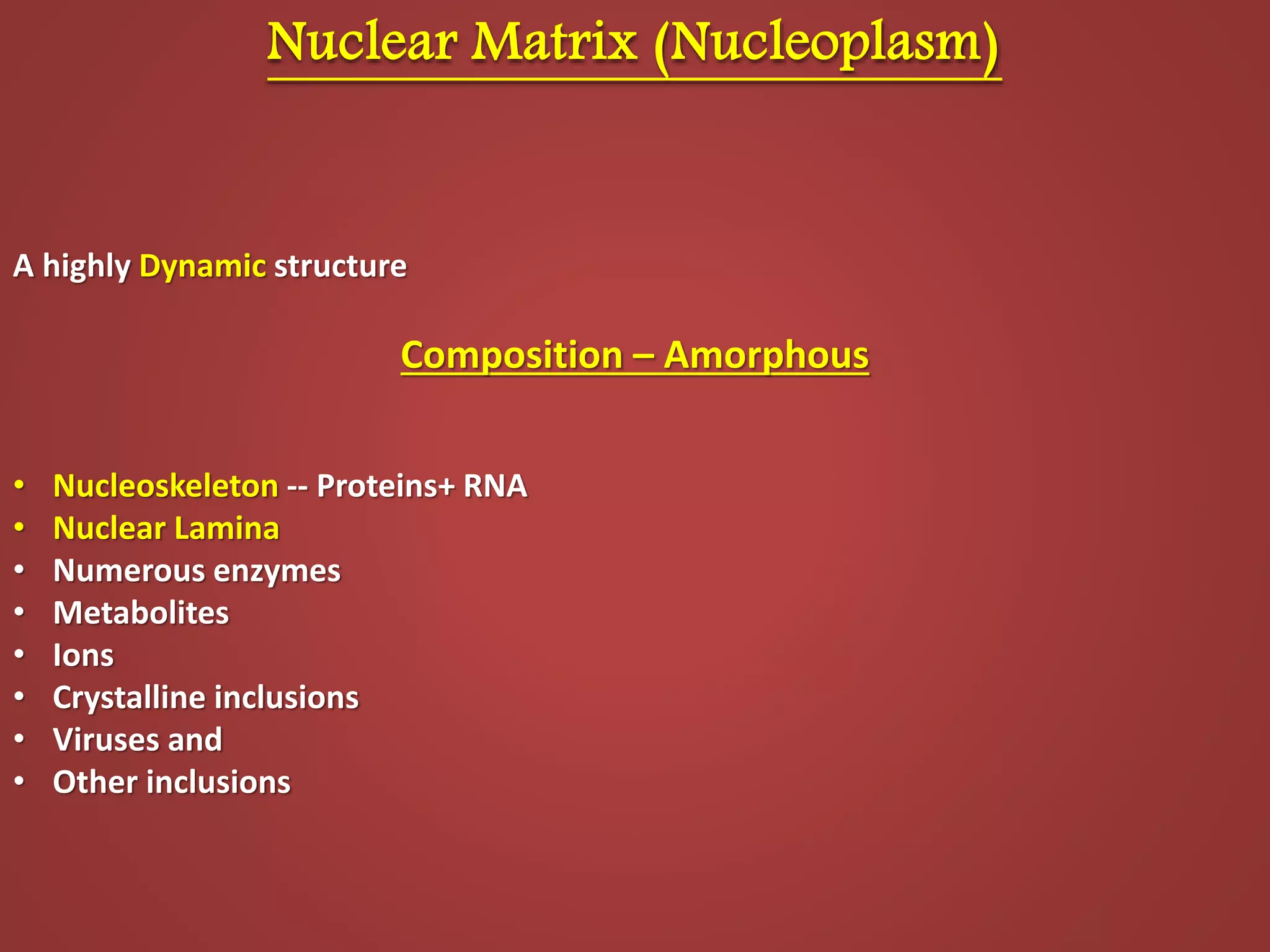 Nucleus | PPT