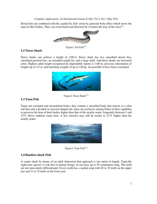 Study On Oscillatory And Undulatory Motion Of Robotic Fish – BYAMJ