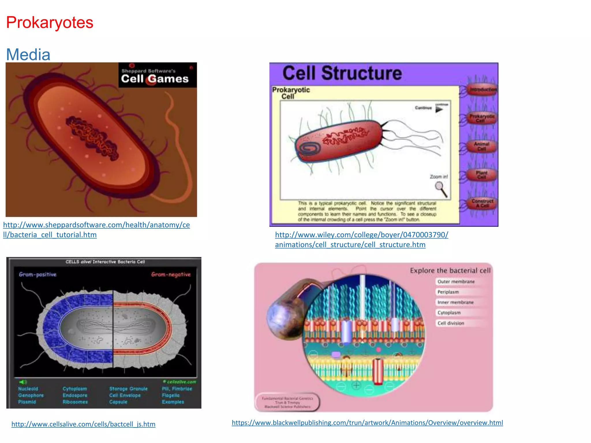 1.2. Cell ultrastructure | PPTX