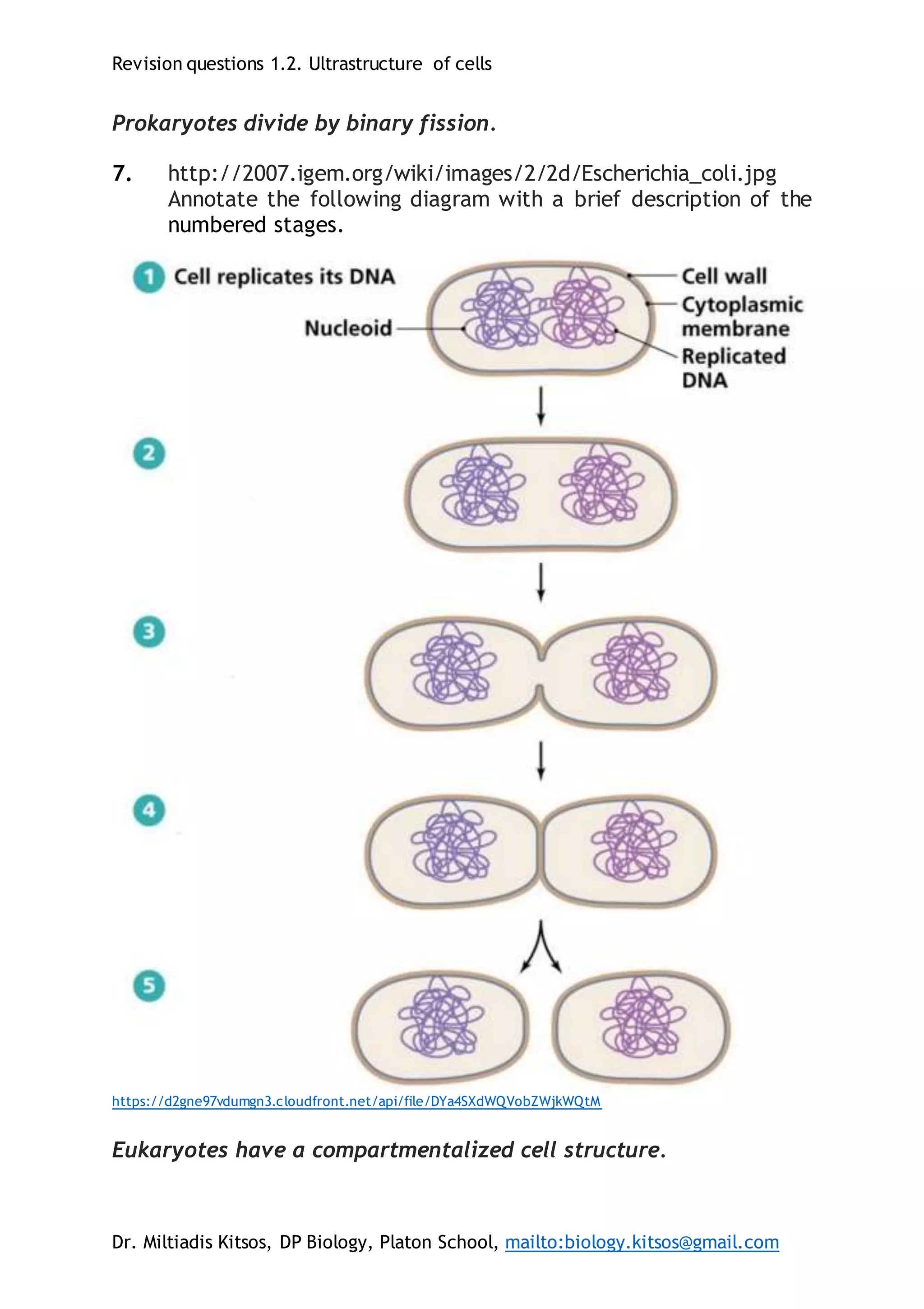 1.2. Ultrastructure of cells - practise questions | DOCX