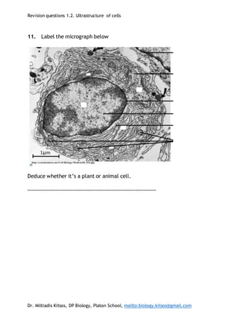 1.2. Ultrastructure of cells - practise questions | DOCX