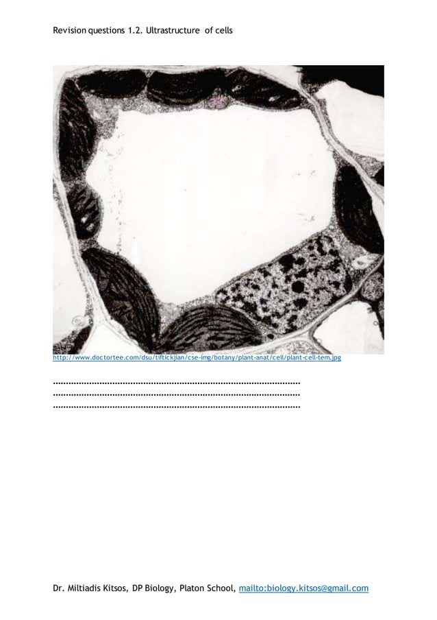 1.2. Ultrastructure of cells - practise questions | DOCX