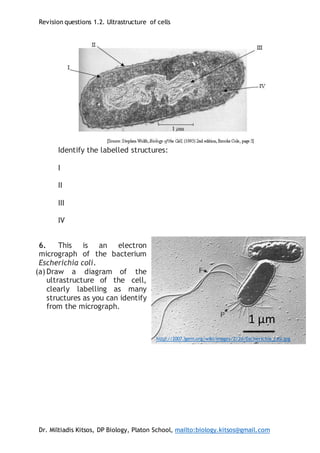 1.2. Ultrastructure of cells - practise questions | DOCX