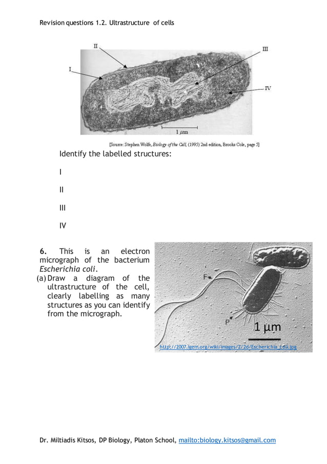 1.2. Ultrastructure of cells - practise questions | DOCX