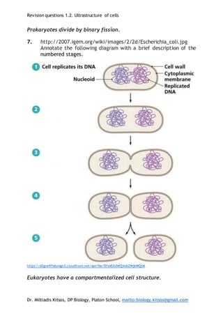 1.2. Ultrastructure of cells - practise questions | DOCX