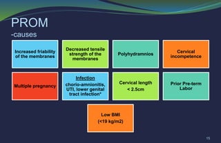 Pre term & premature rupture of membranes (prom) | PPTX
