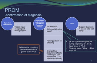 Pre term & premature rupture of membranes (prom) | PPTX