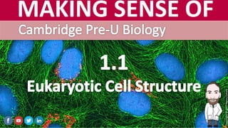 Cambridge Pre-U Biology - 1.1 Eukaryotic Cell Structure | PPTX