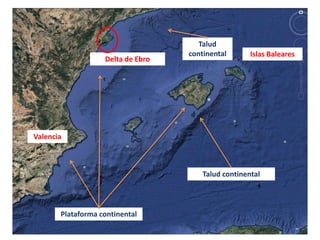 Estructura horizontal y verticalde la corteza terrestre | PPTX