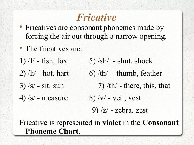 Languagelab 1.4 - Master Plosive, Fricative and Nasal