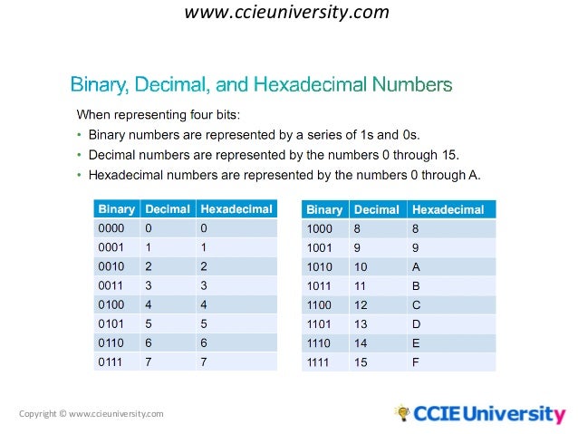 describing an ip addressing scheme