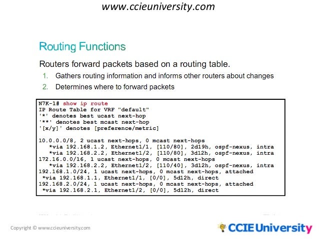 describing an ip addressing scheme