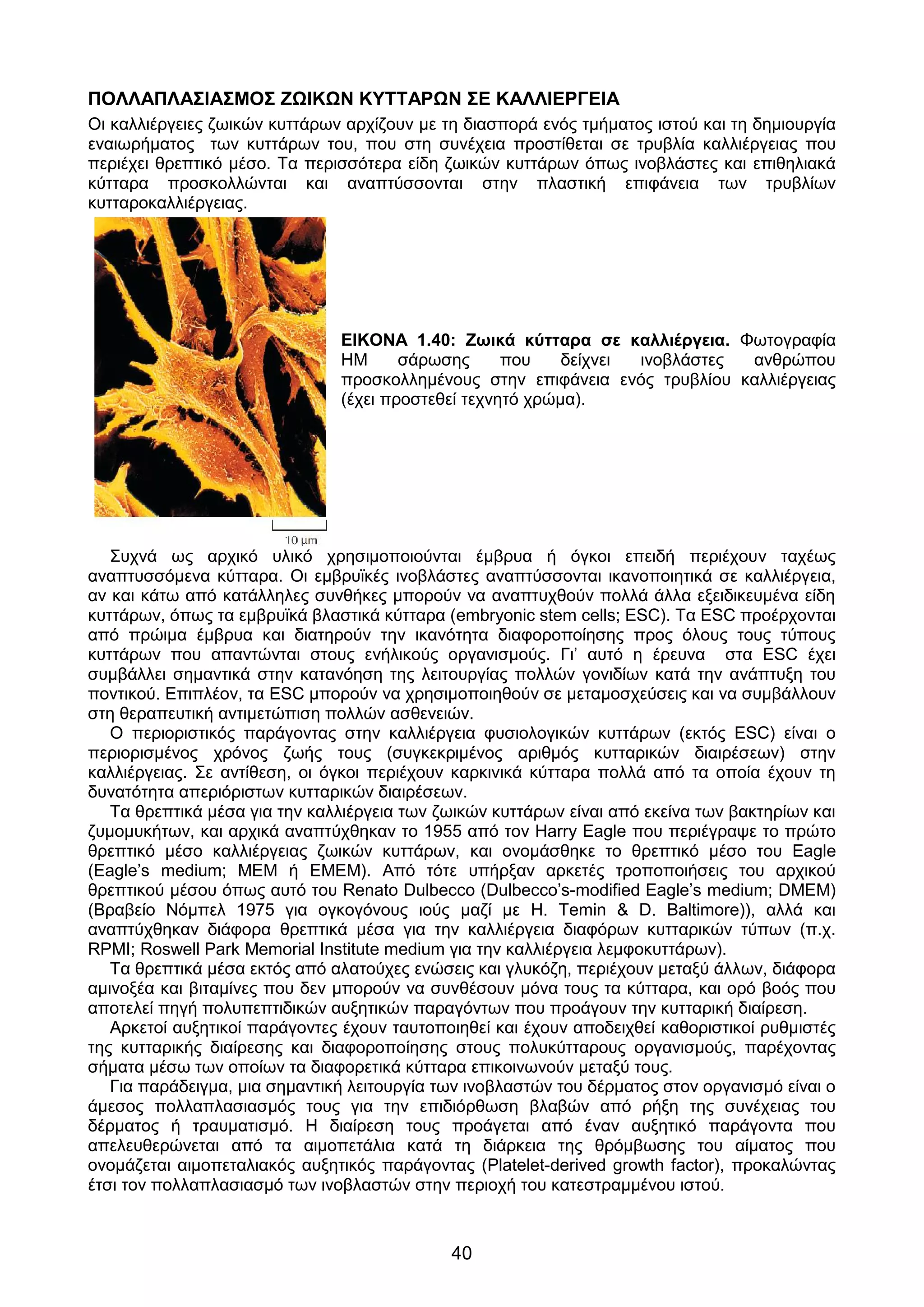 1. ch1 eisagwgi sth kyttarikh biologia | PDF