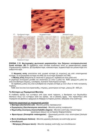 1. ch1 eisagwgi sth kyttarikh biologia | PDF