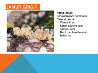 1. bahan baku | PPTX