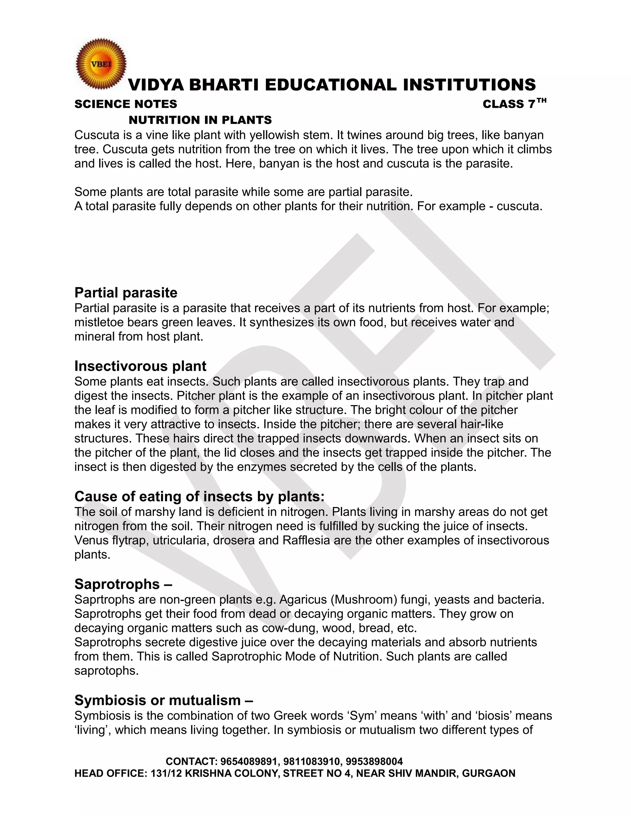 Nutrition in Plants | PDF
