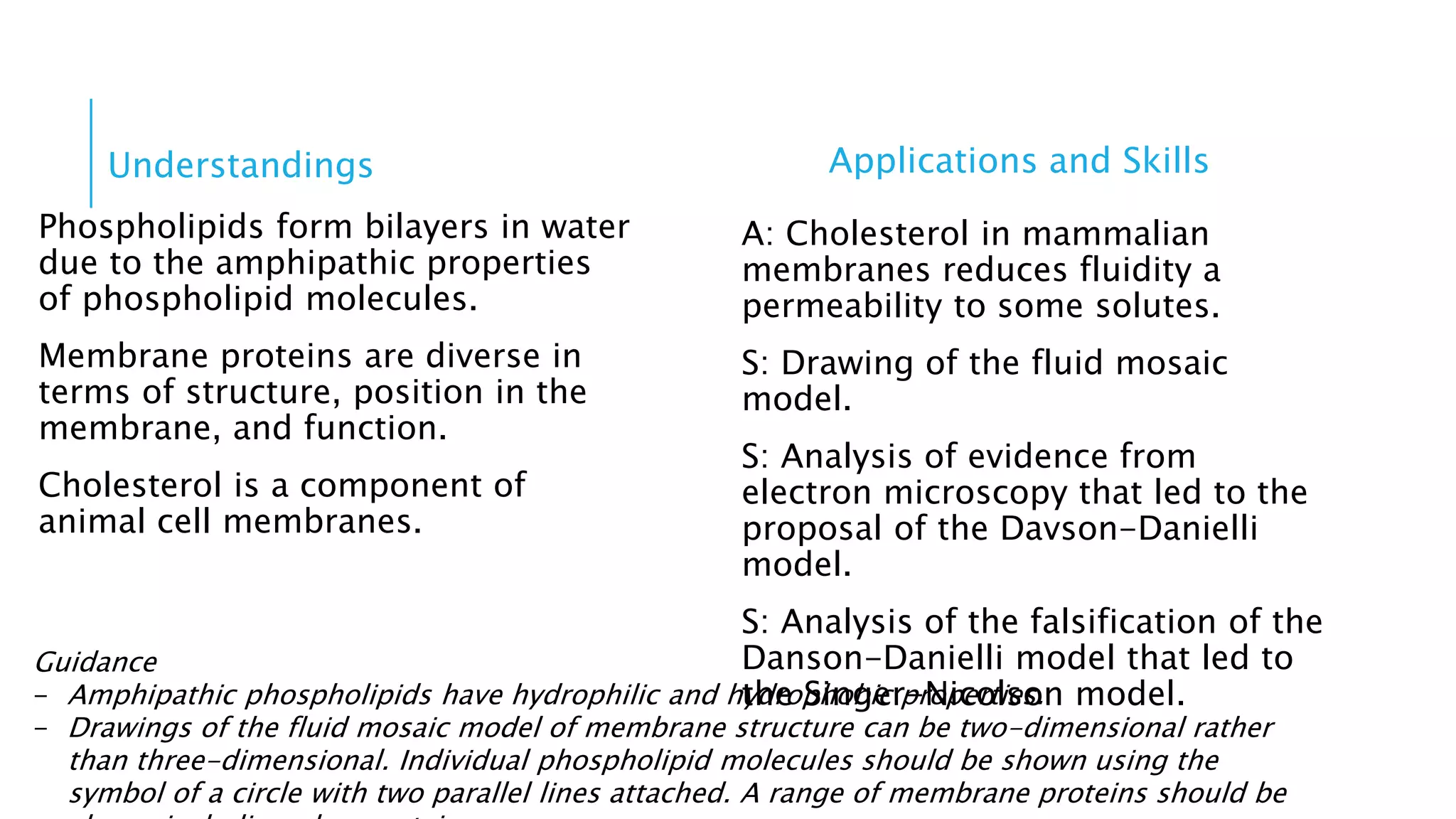 1.3 membrane structure | PPTX