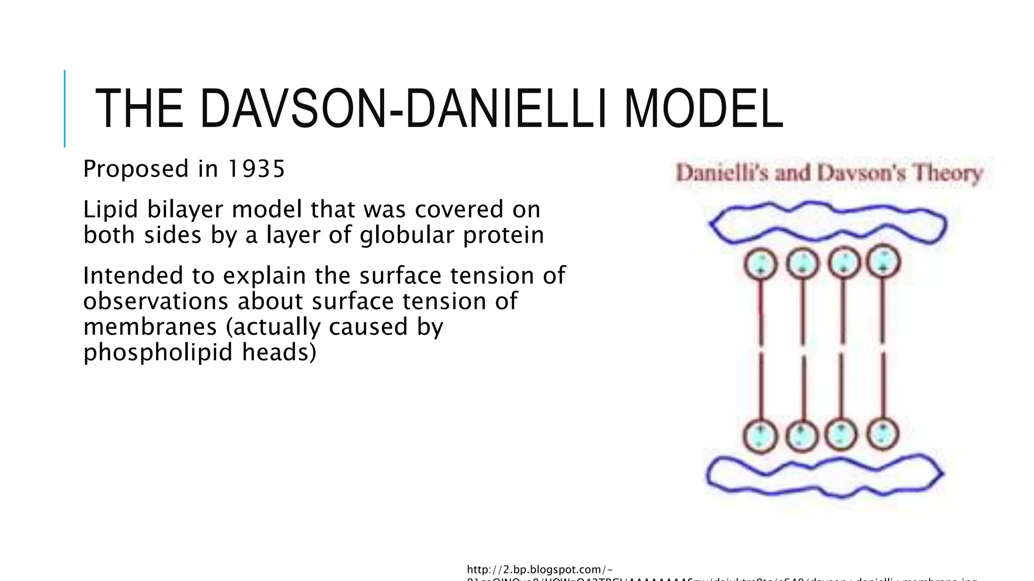 1.3 membrane structure | PPTX