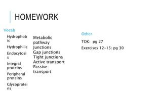 1.3 membrane structure | PPTX