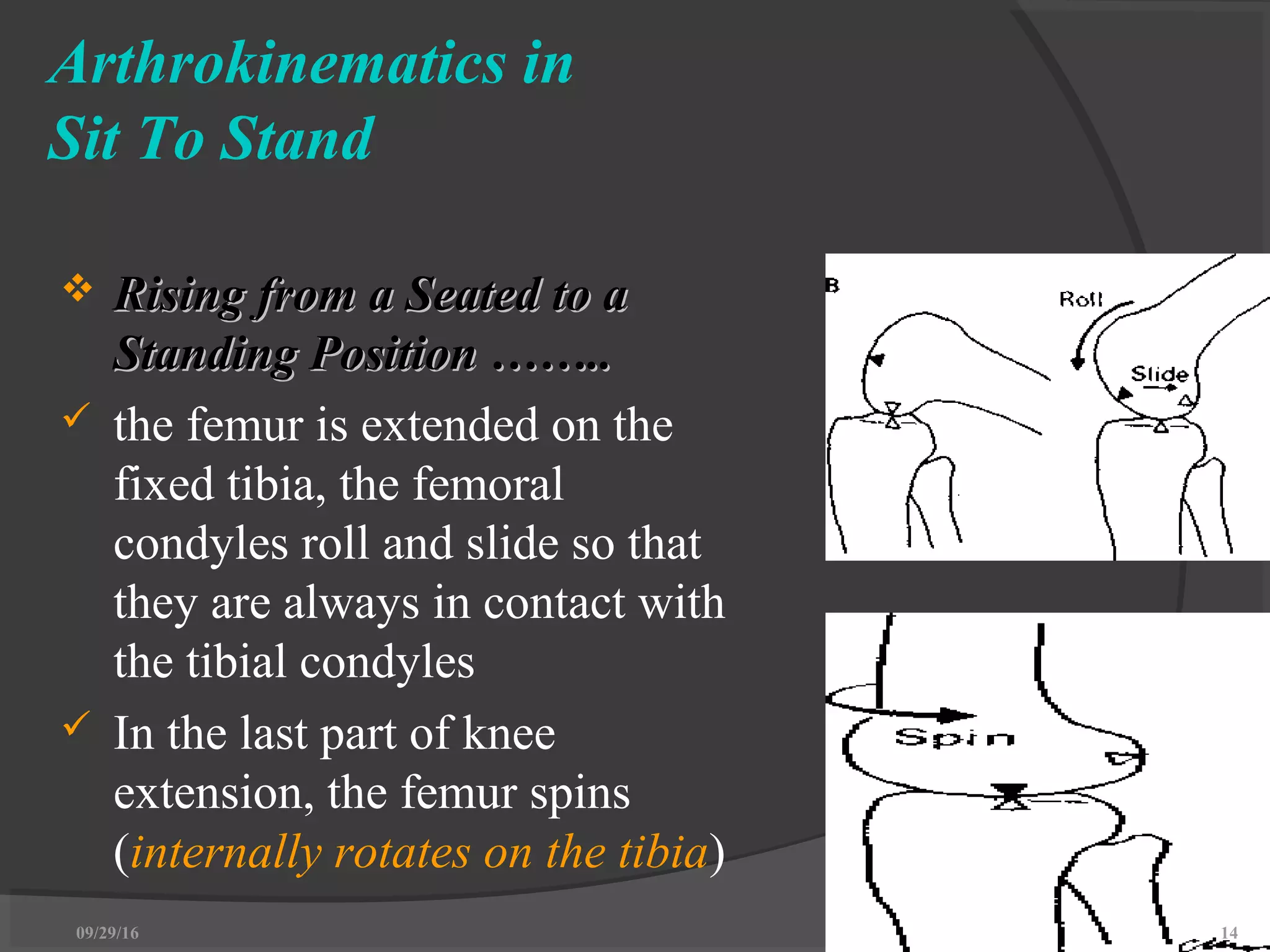 1. introduction of biomechanics | PPT