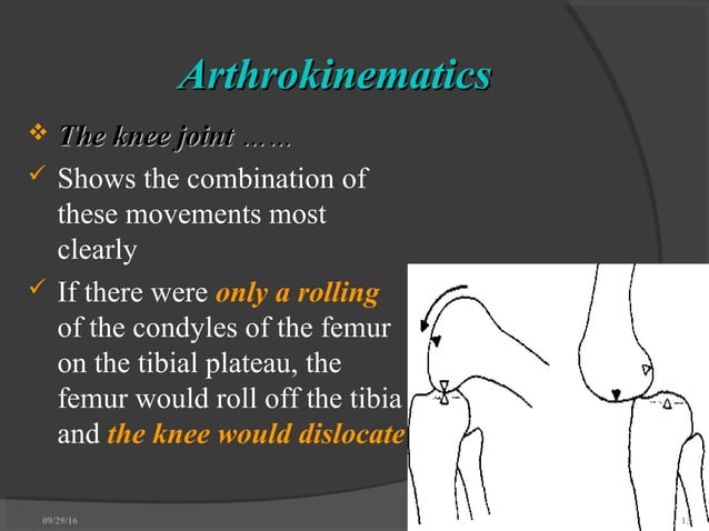 1. introduction of biomechanics | PPT
