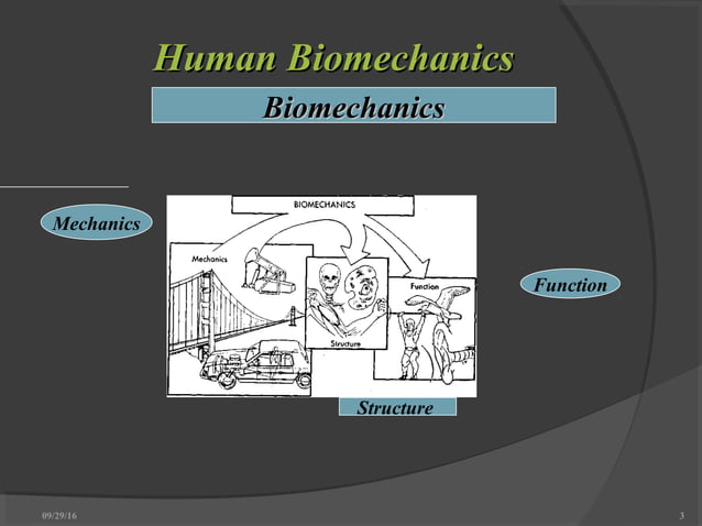 1. introduction of biomechanics | PPT