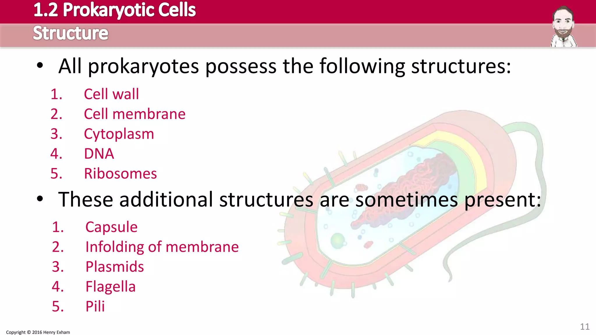 Cambridge Pre-U Biology - 1.2 Prokaryotic Cells | PPTX