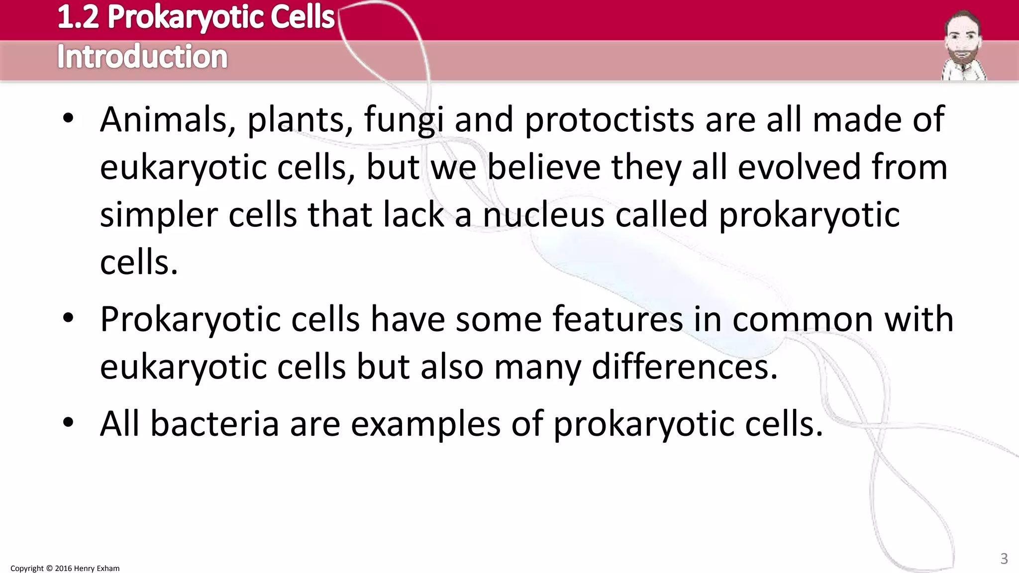 Cambridge Pre-U Biology - 1.2 Prokaryotic Cells | PPTX