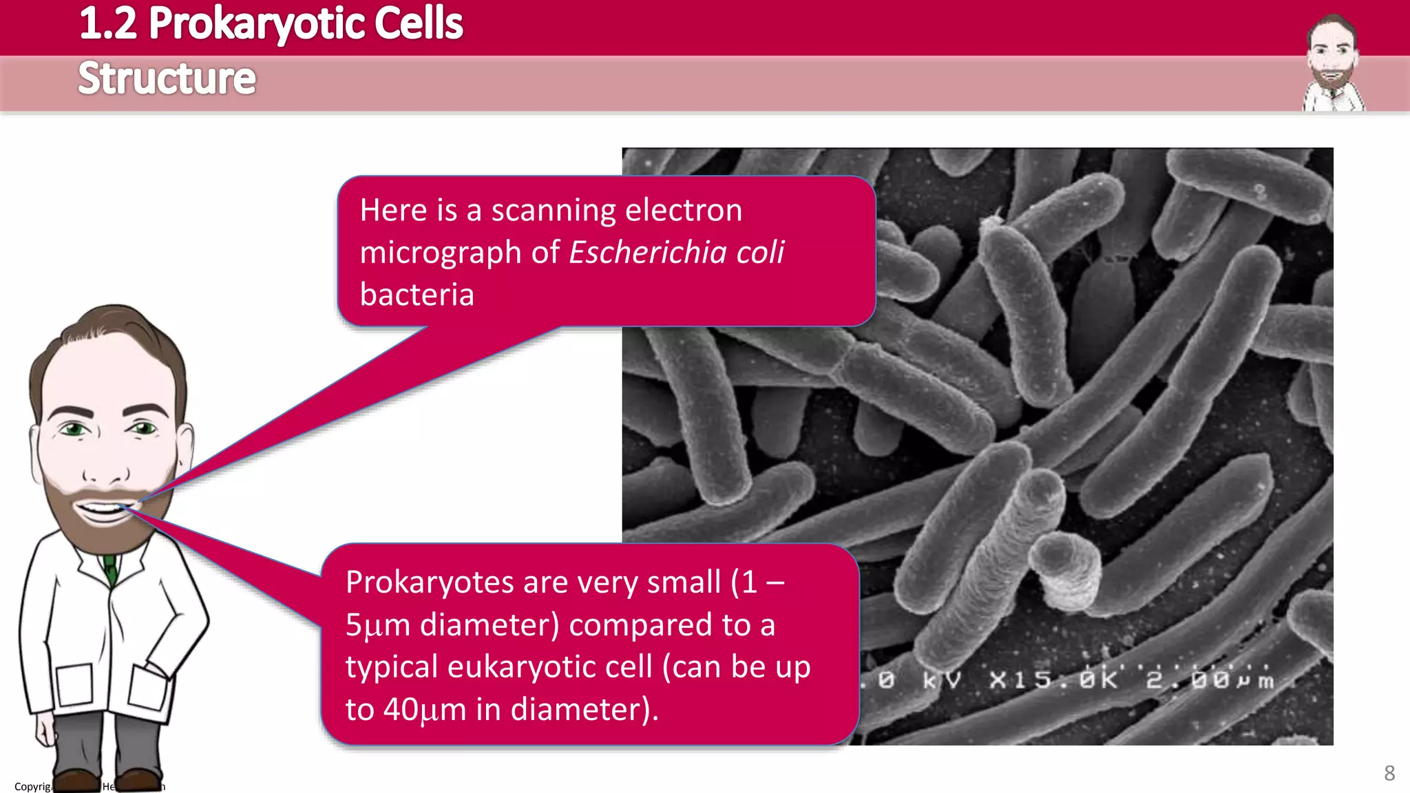 Cambridge Pre-U Biology - 1.2 Prokaryotic Cells | PPTX