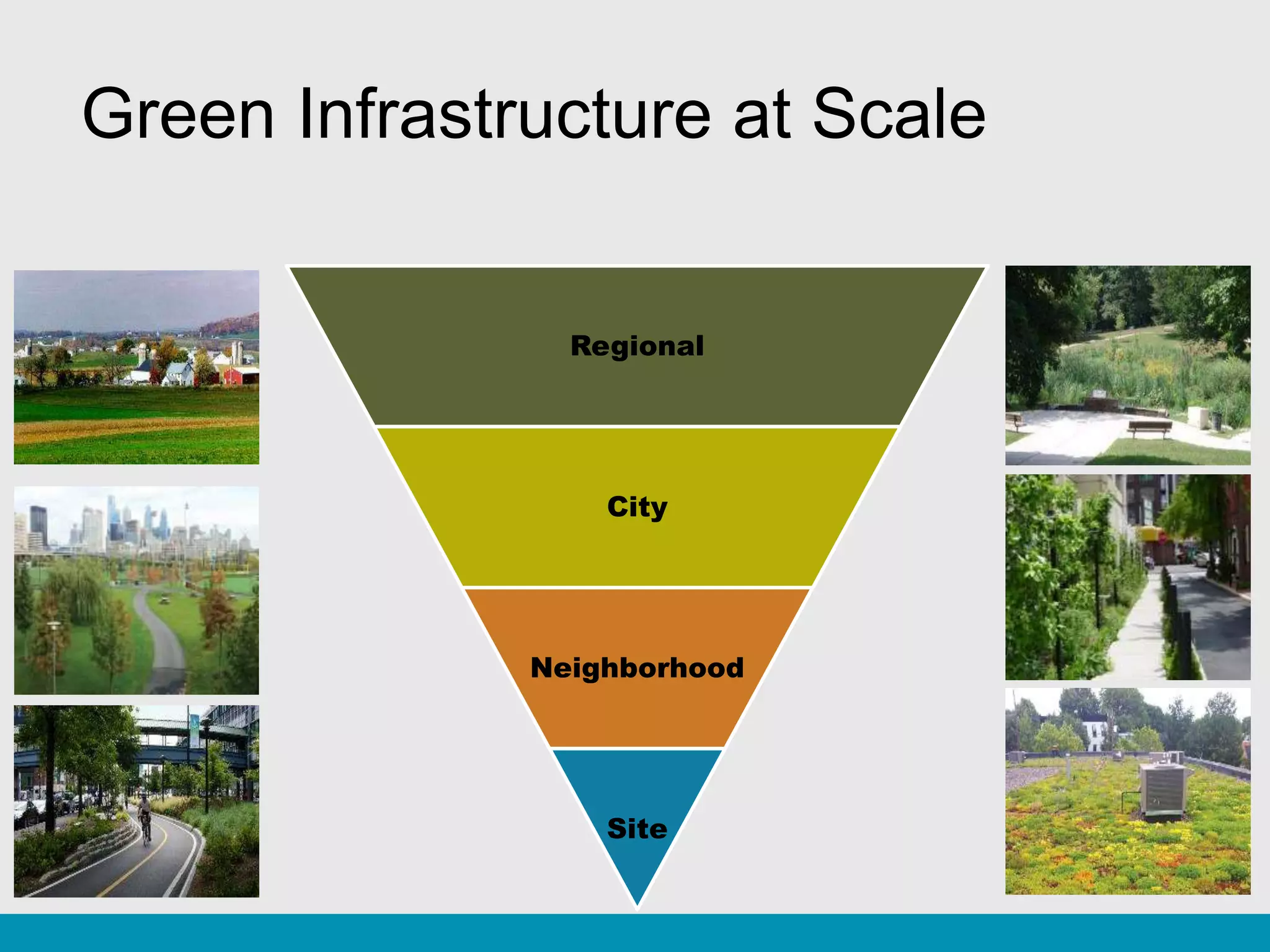 The Role of Urban Forestry in Parks, Green Infrastructure, and Equity ...