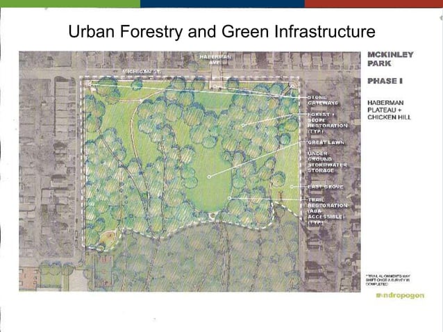 The Role Of Urban Forestry In Parks Green Infrastructure And Equity