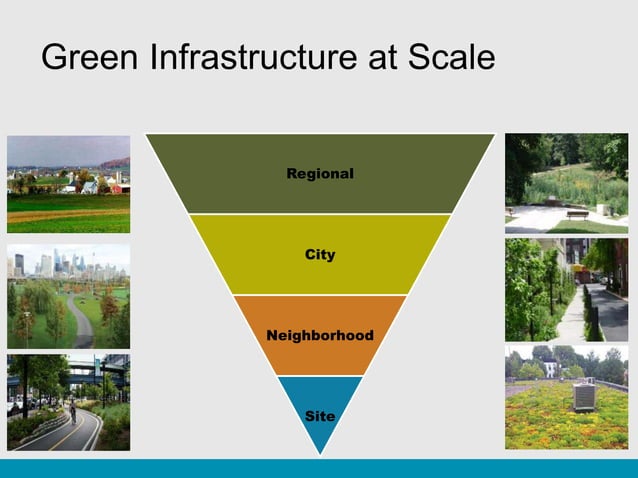The Role Of Urban Forestry In Parks Green Infrastructure And Equity Ppt