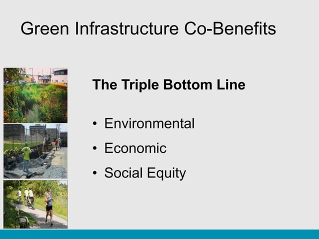 The Role Of Urban Forestry In Parks Green Infrastructure And Equity Ppt