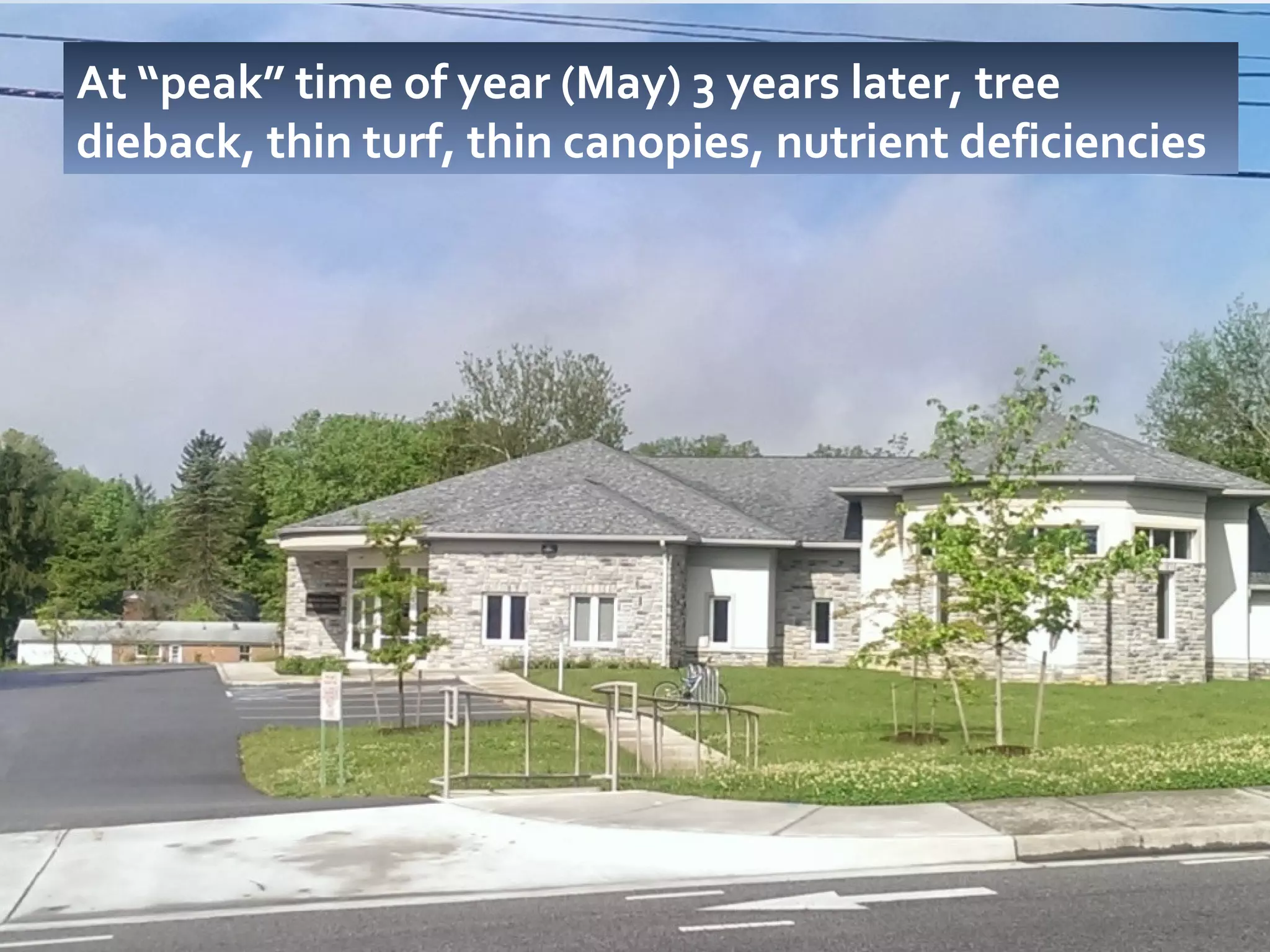 Soil Profile Rebuilding, A technique for Rehabilitating Compacted Urban ...