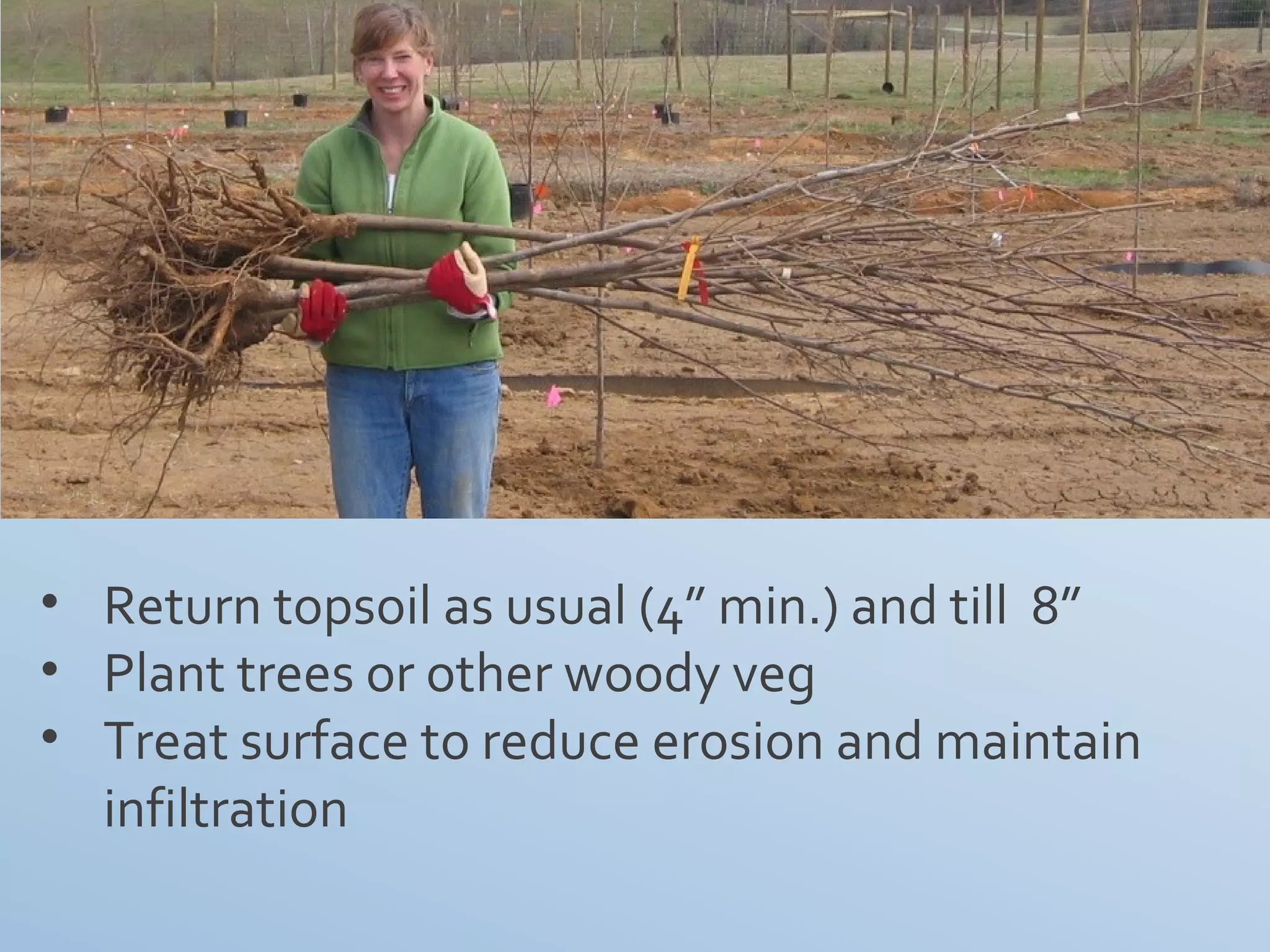 Soil Profile Rebuilding, A technique for Rehabilitating Compacted Urban ...