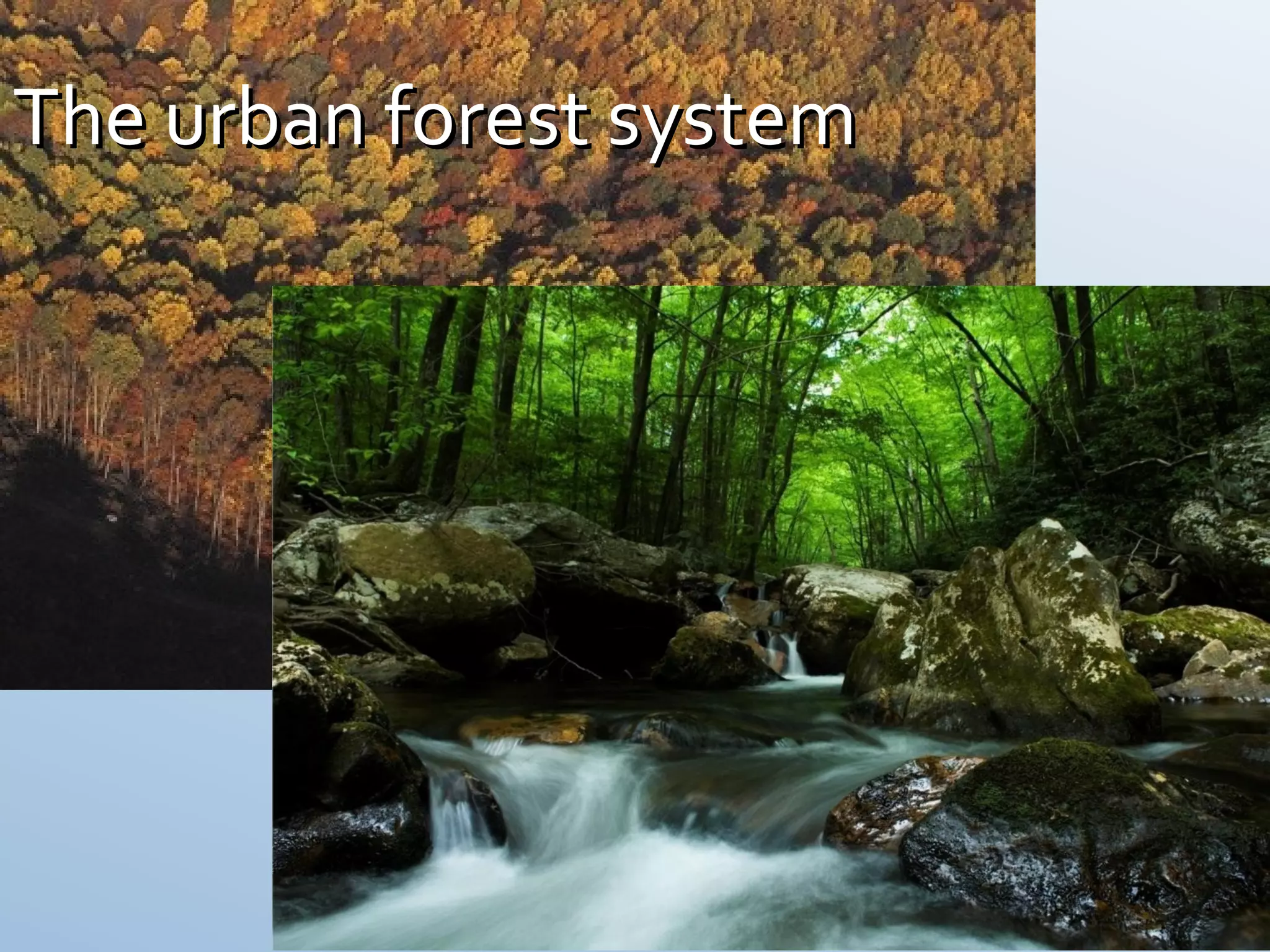 Soil Profile Rebuilding, A technique for Rehabilitating Compacted Urban ...