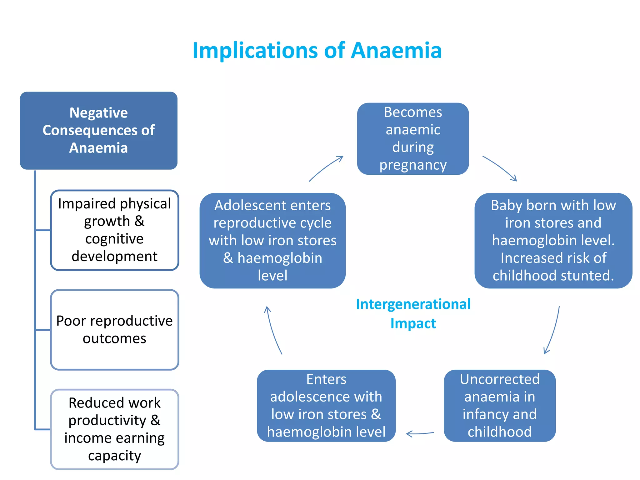 The Adolescent Girls' Anaemia Control Programme: A decade of ...