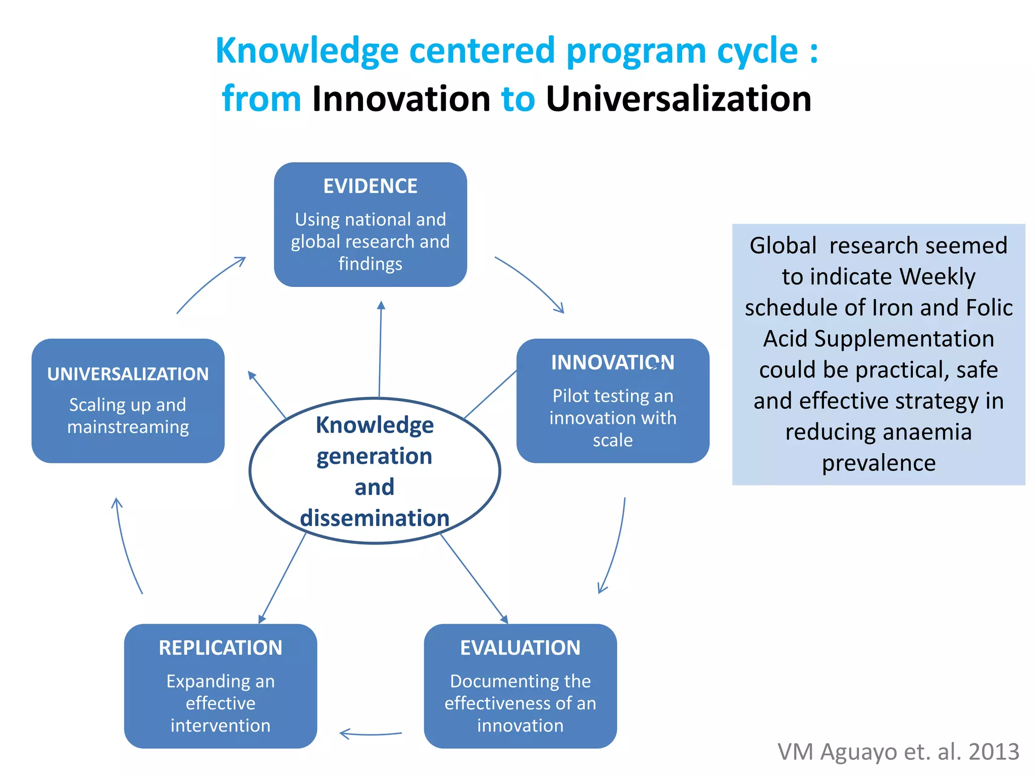 The Adolescent Girls' Anaemia Control Programme: A decade of ...