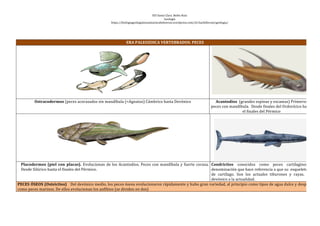 1. era paleozoica | PDF