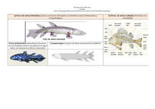 1. era paleozoica | PDF