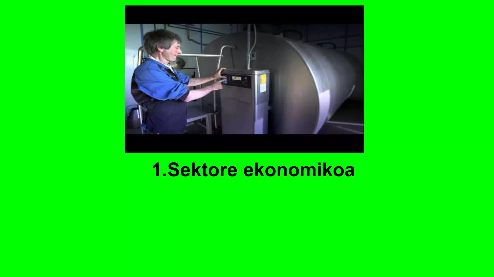 1.sektorea (1) | PPTX