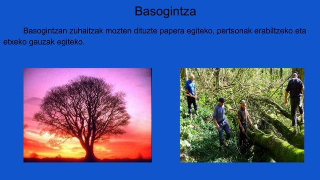 1.sektore ekonomikoa | PPT