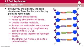 Cambridge Pre-U Biology - 1.3 DNA Replication | PPTX
