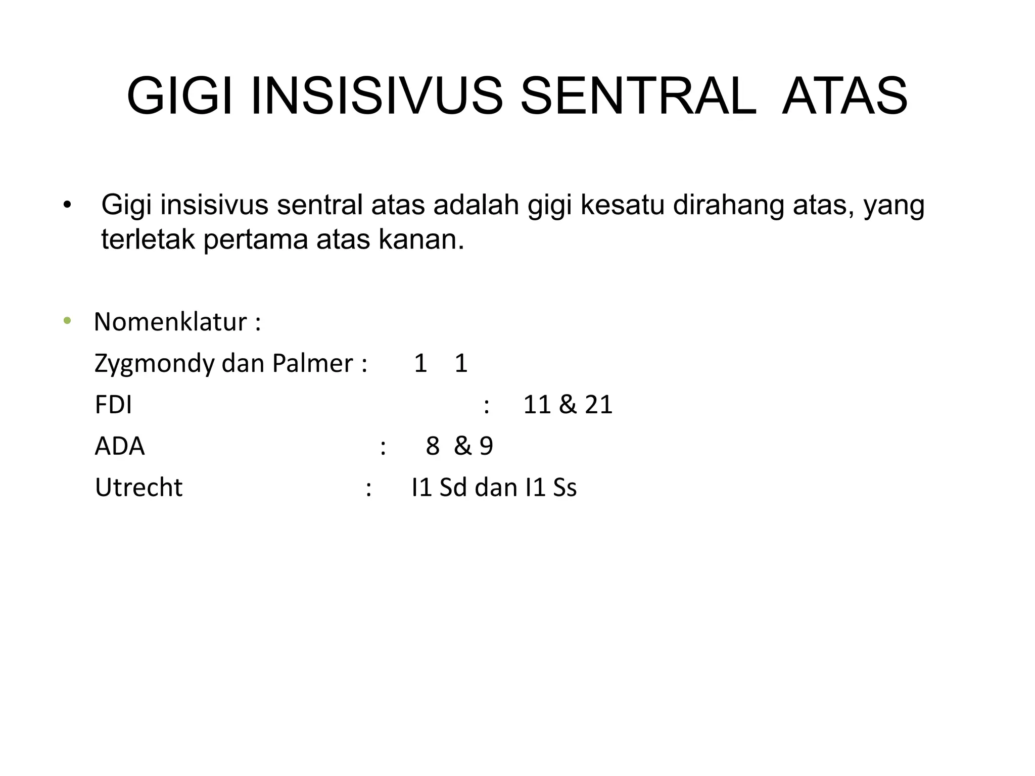 1. anatomi gigi insisivus sentral atas kanan | PPTX