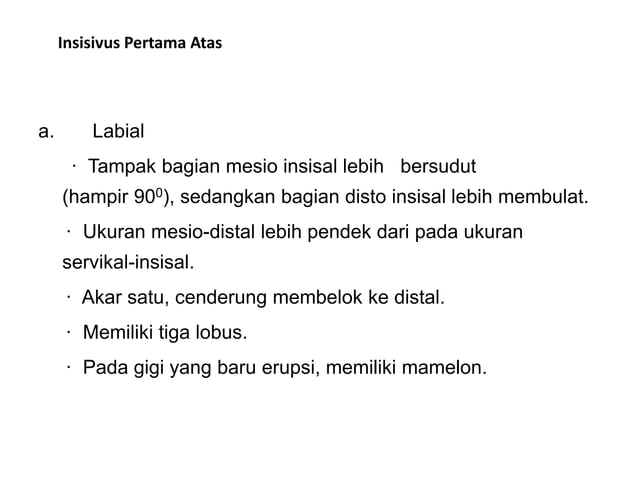 1. anatomi gigi insisivus sentral atas kanan | PPTX