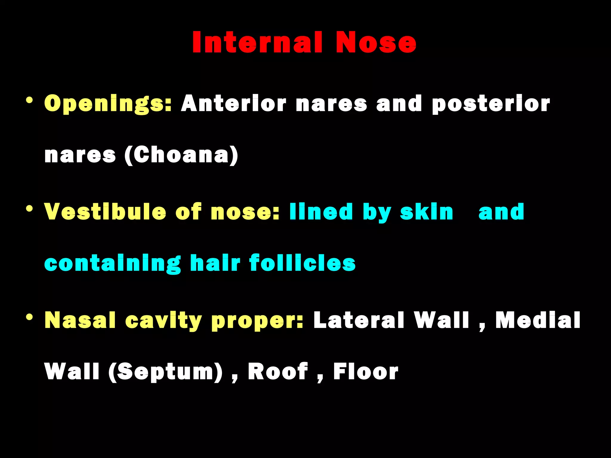 Anatomy and physiology of nose and PNS | PPT