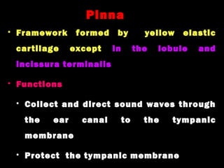 Anatomy of ear and mastoid | PPT | Ear, Nose and Throat Conditions ...