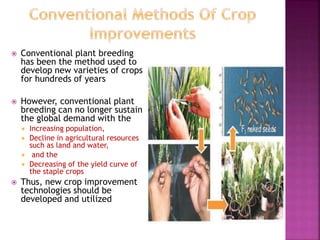 Conventional and non conventional methods of crop improvement | PPTX ...