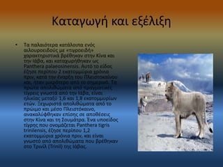 Εργασία για την τίγρη | PPTX