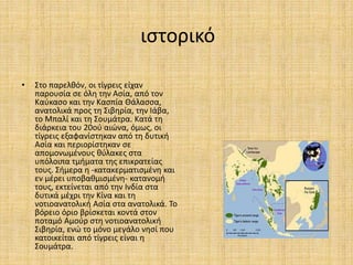 Εργασία για την τίγρη | PPT